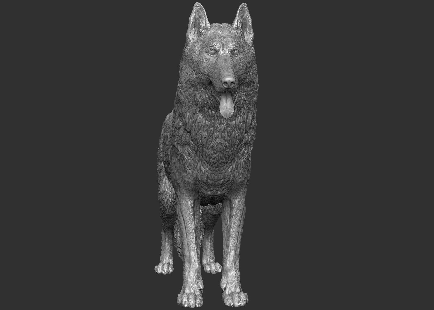 German shepherd realistic model - TurboSquid 1284699