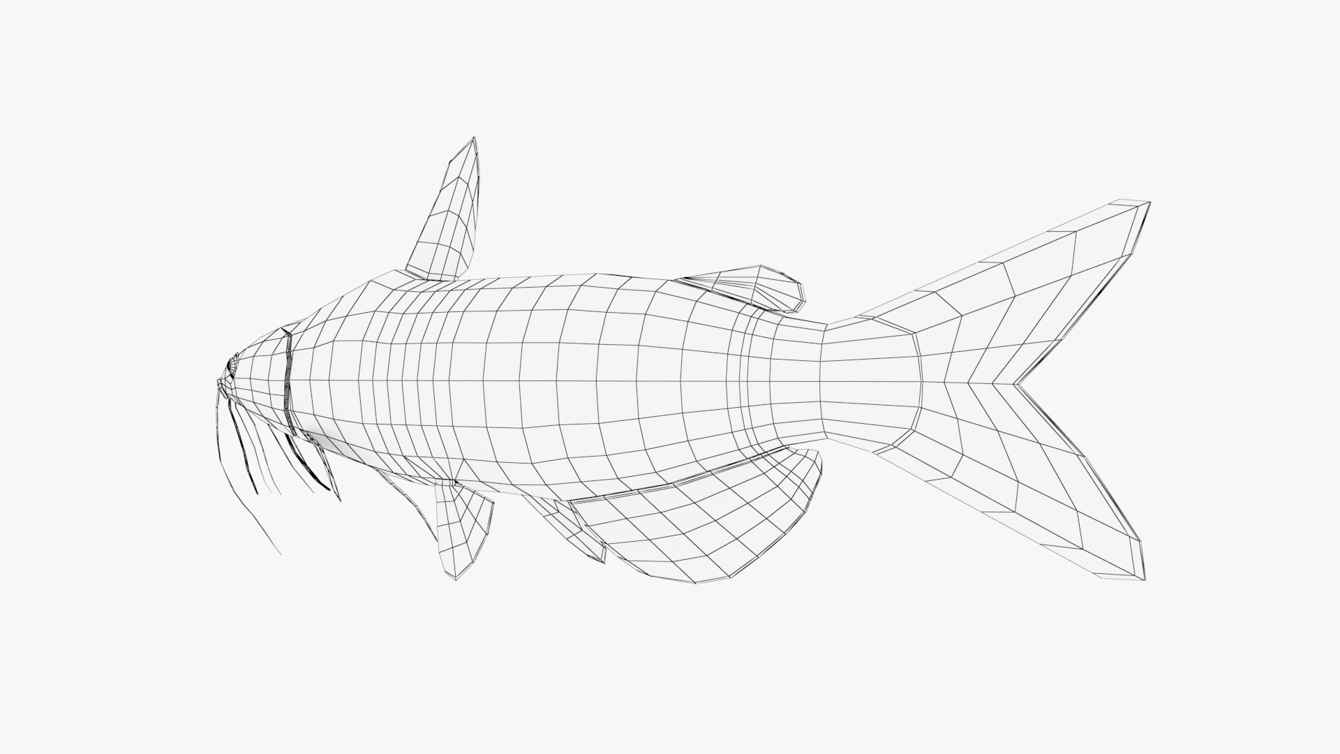3D Channel Catfish Model - TurboSquid 2073974