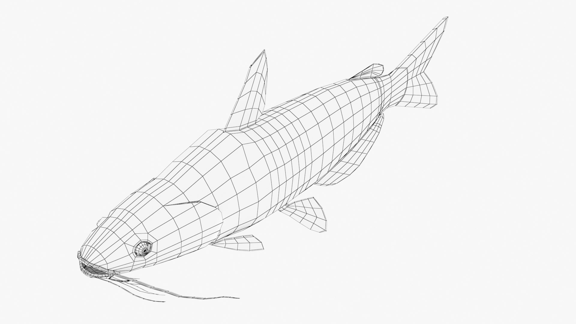 3D Channel Catfish Model - TurboSquid 2073974