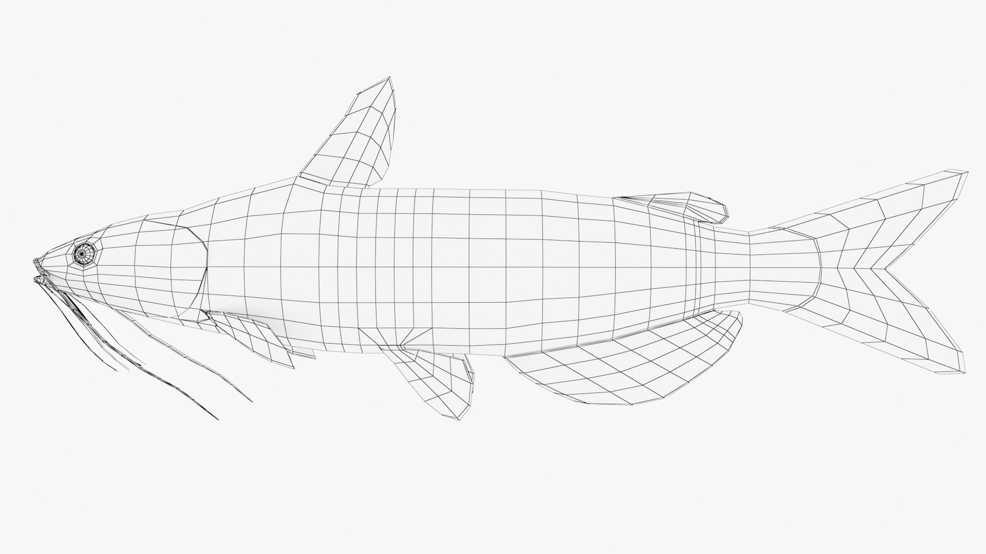 3D Channel Catfish Model - TurboSquid 2073974