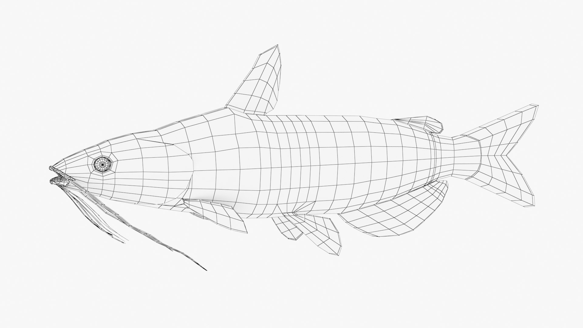 3D Channel Catfish Model - TurboSquid 2073974