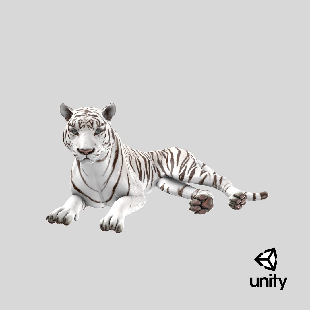 Lying white tiger 3D model - TurboSquid 1272198