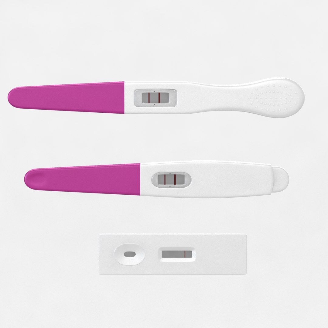 3d Model Of Pregnancy Test Pack