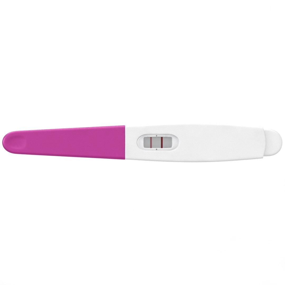 3d Model Of Pregnancy Test Pack