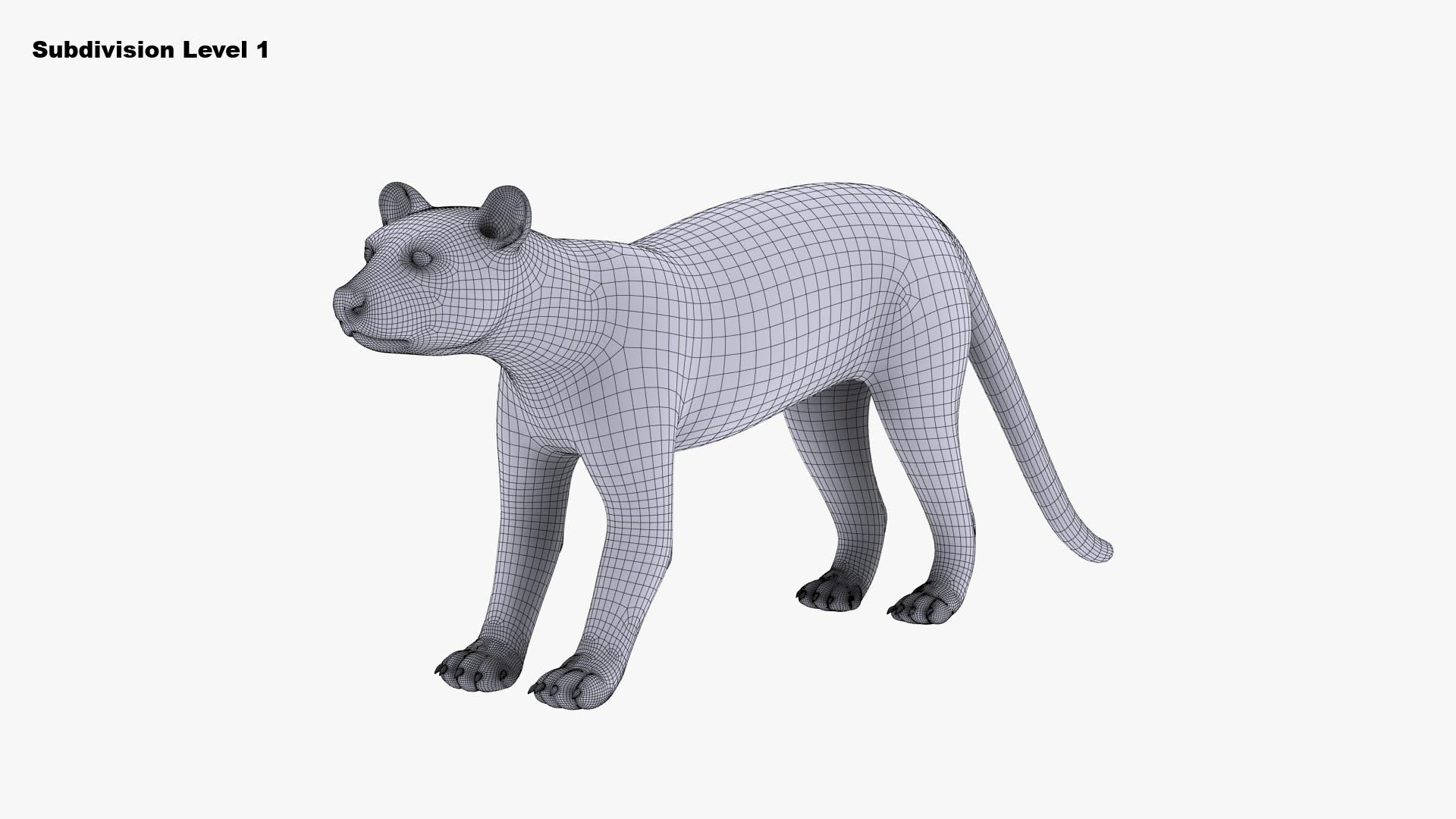 Fossa Model - TurboSquid 1772116