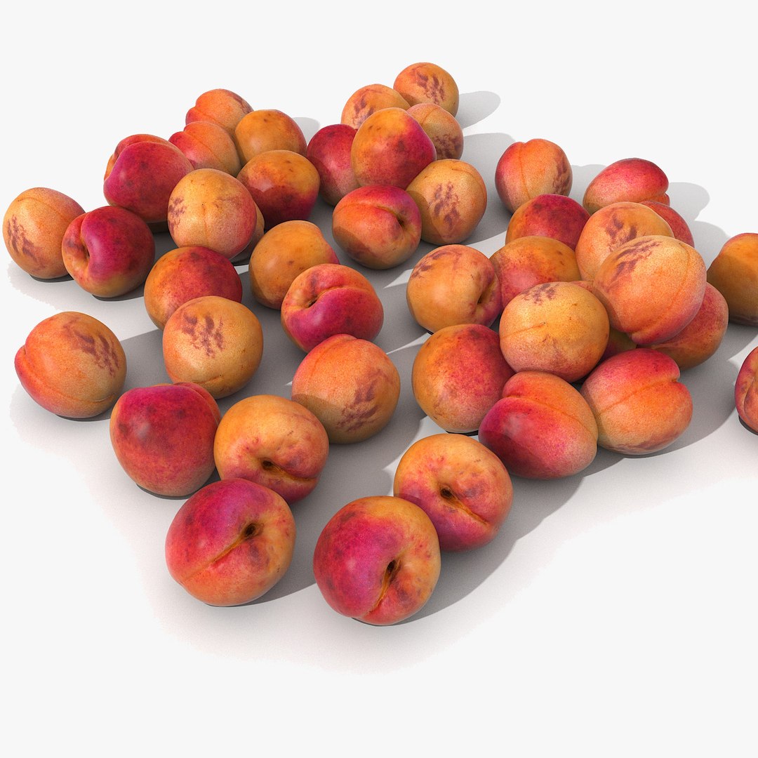 Apricot Realistic Model - TurboSquid 1161692