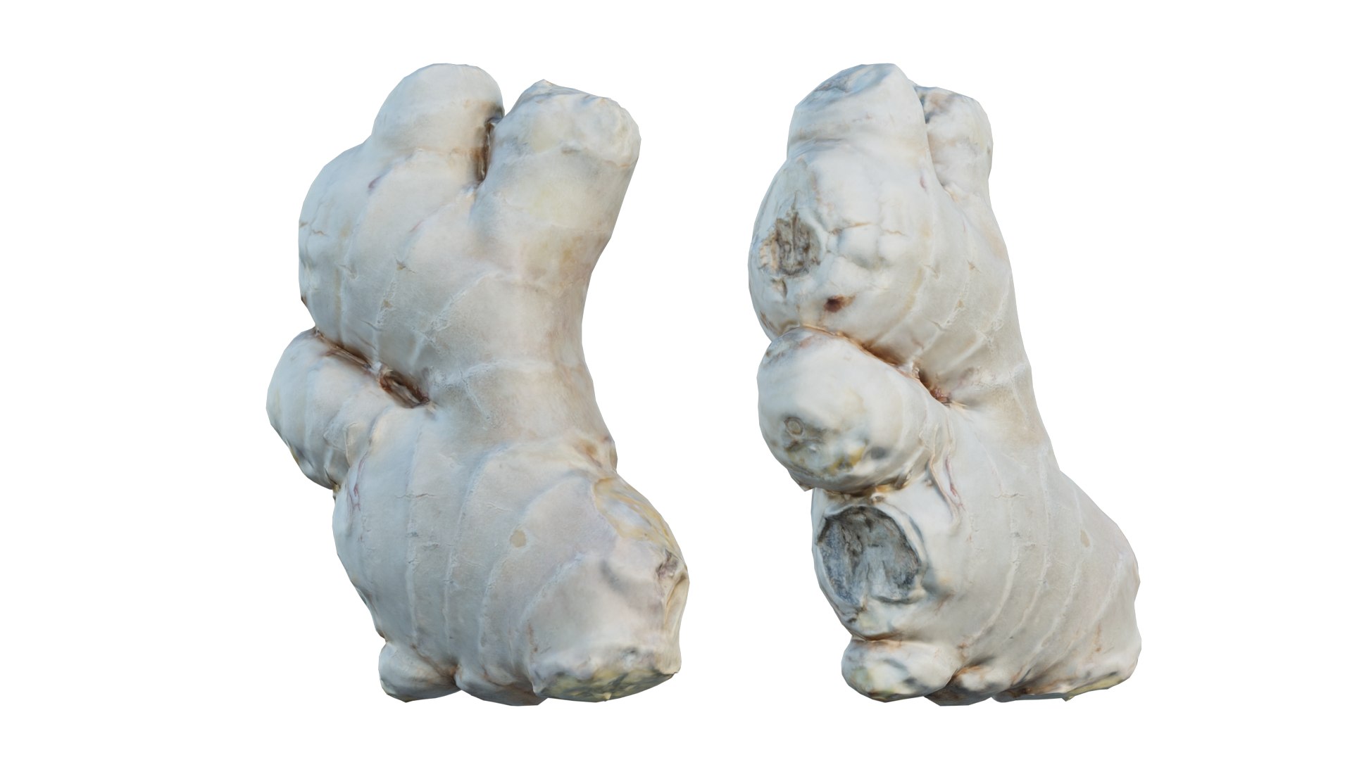 3D Ginger Model - TurboSquid 1903304