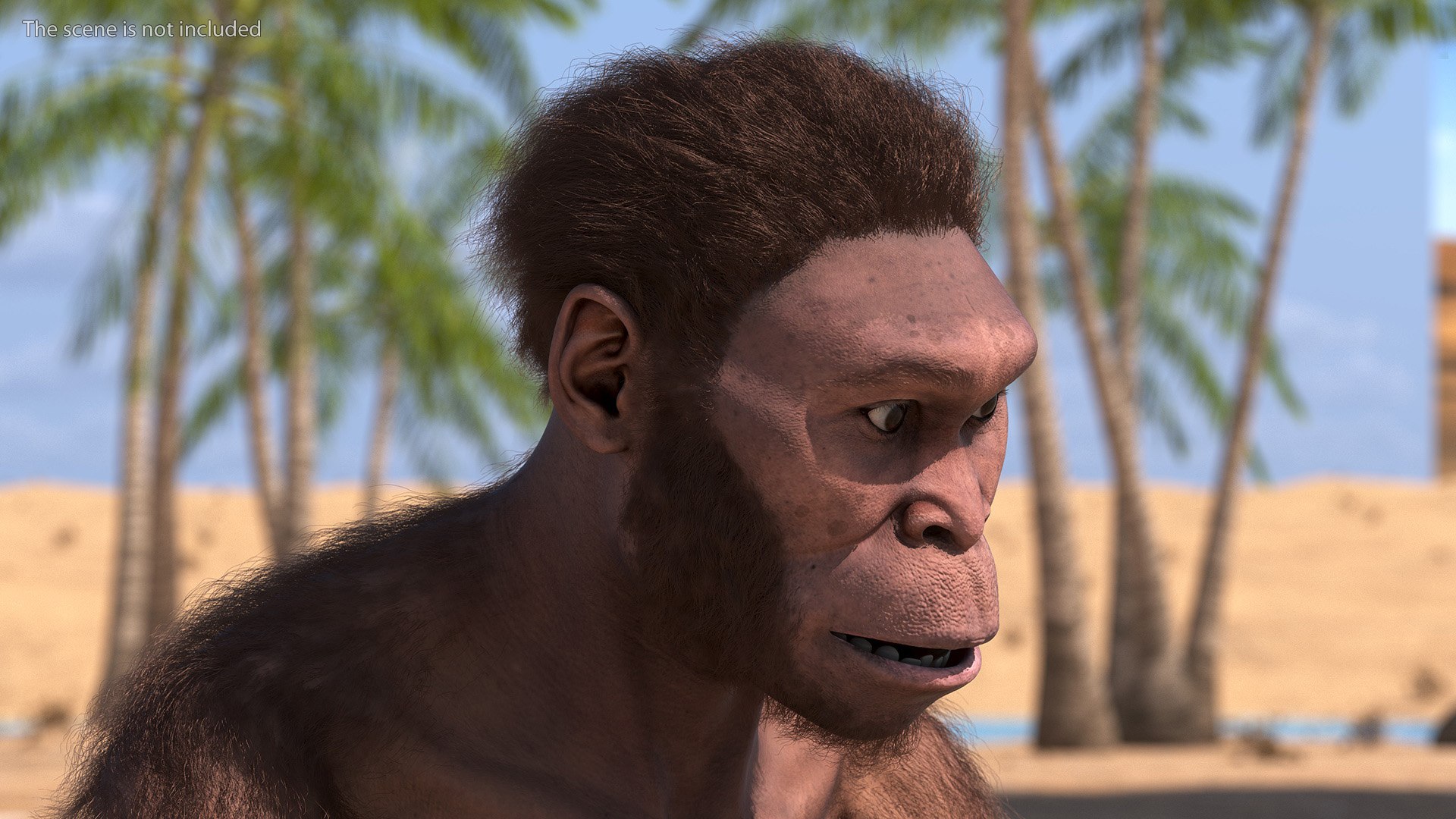 3D Model Homo Habilis In A Sitting Pose Fur - TurboSquid 2174893