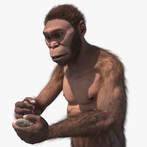 modelo 3d Homo Habilis en pose sentada - TurboSquid 2174893