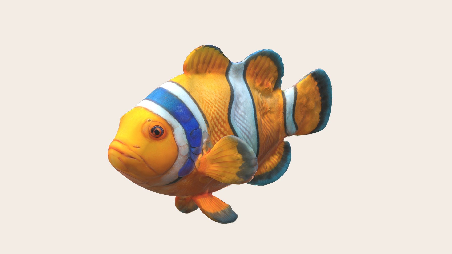 3D Clownfish Blue - TurboSquid 2271413