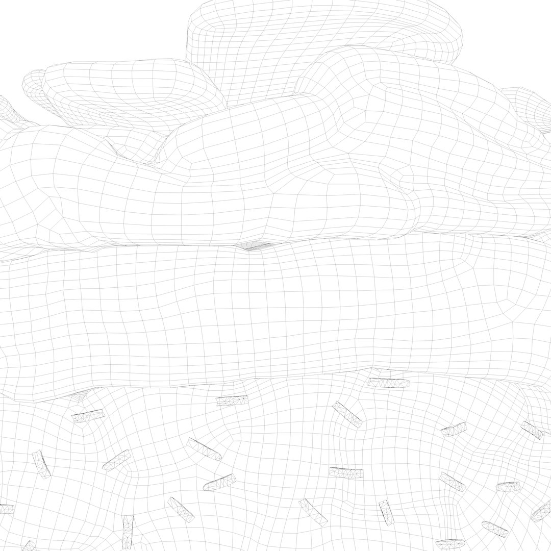 Epidermis Cross Section Anatomy 3D Model - TurboSquid 2067399
