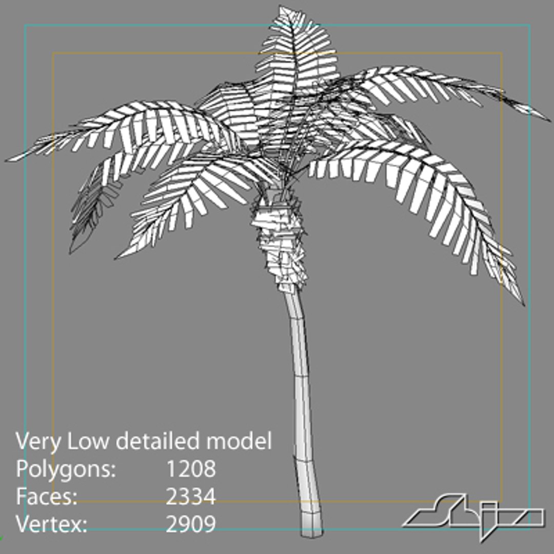 australian tree fern 3d model