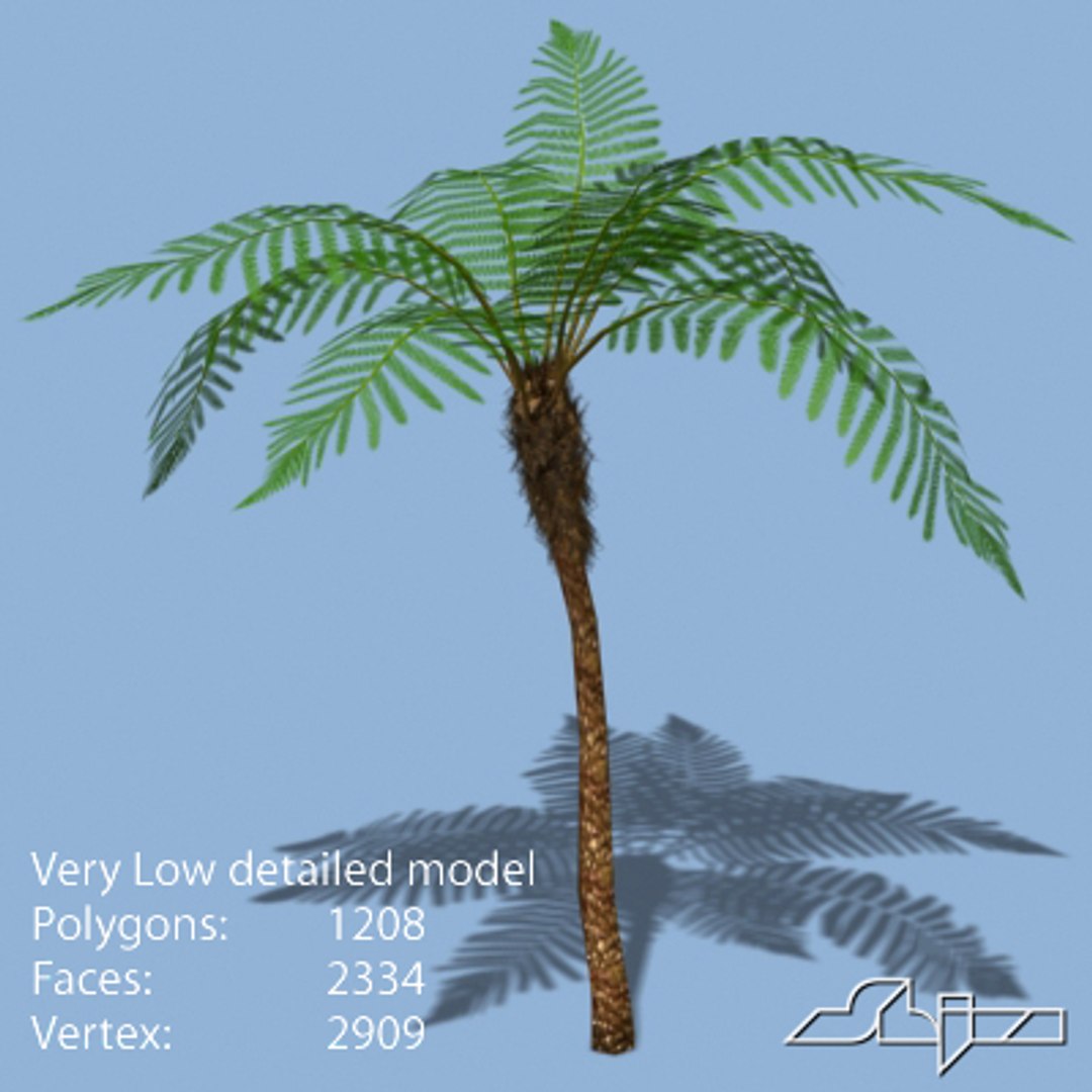 australian tree fern 3d model