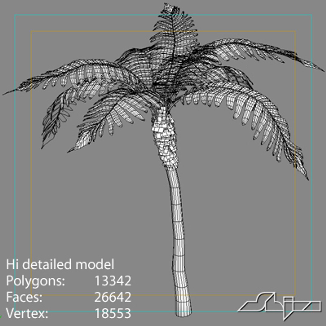 australian tree fern 3d model