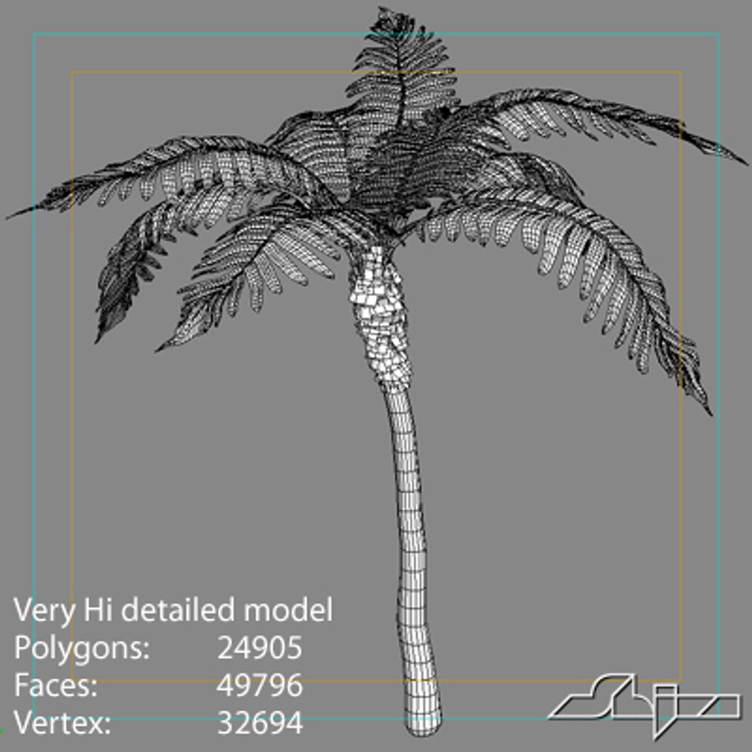 australian tree fern 3d model