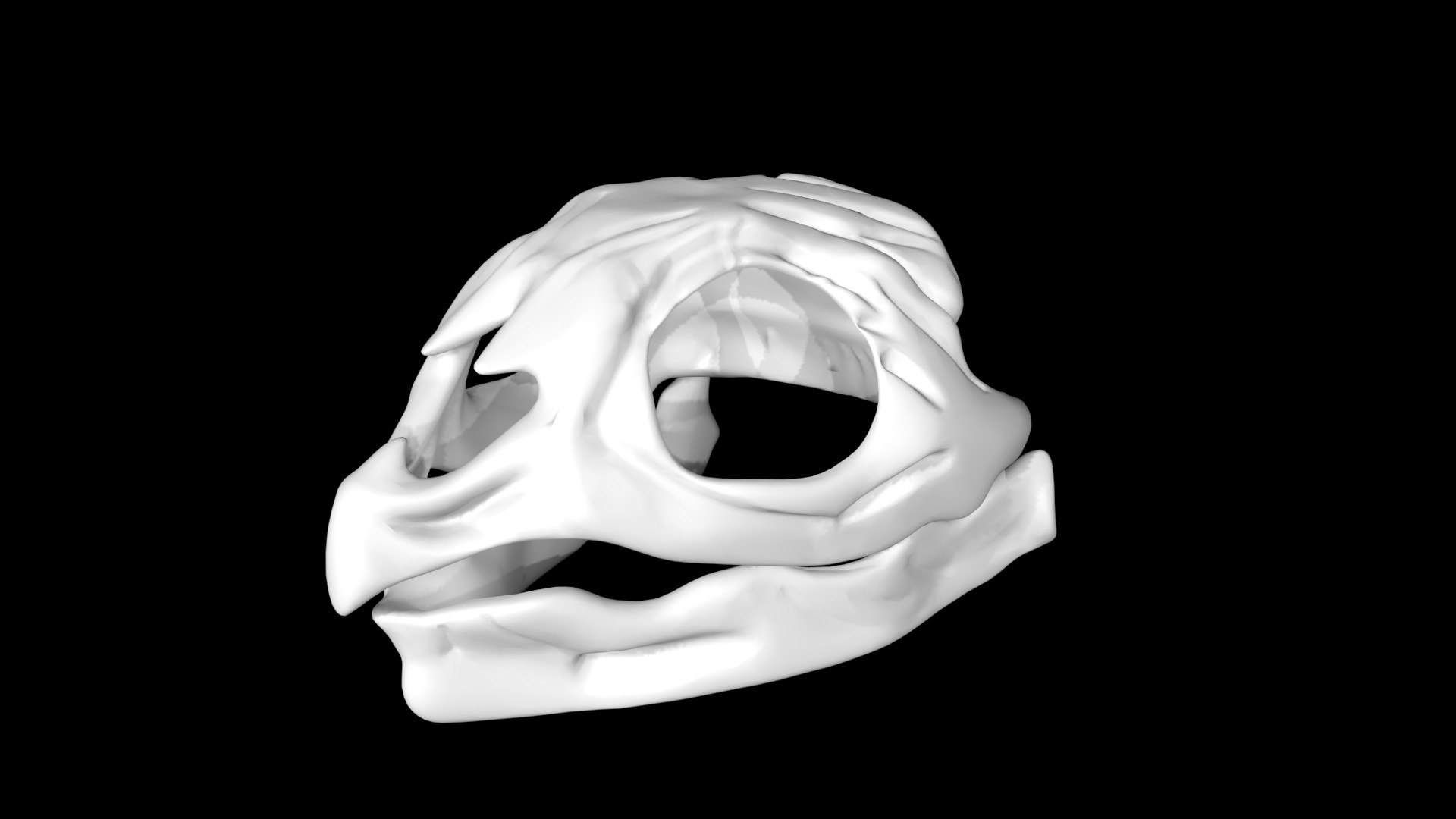 3D Tortoise Skull - TurboSquid 1889274
