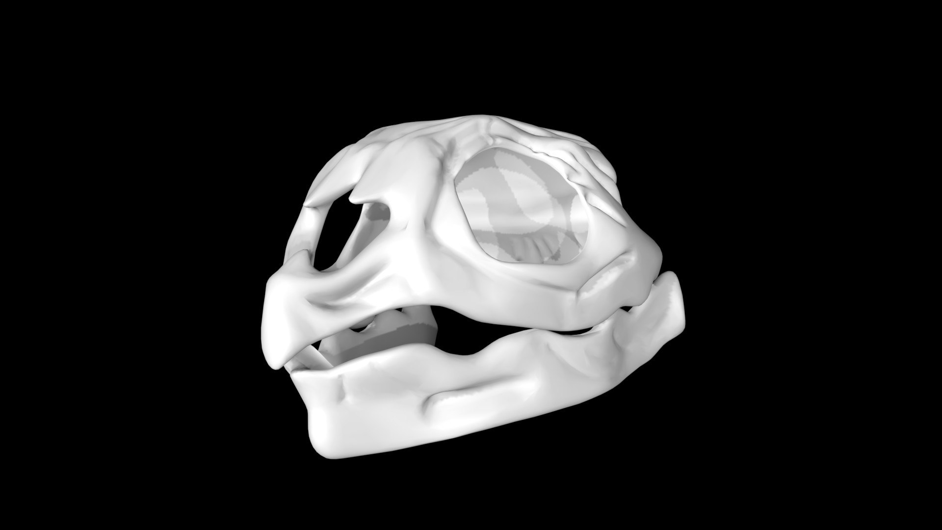 3D Tortoise Skull - TurboSquid 1889274