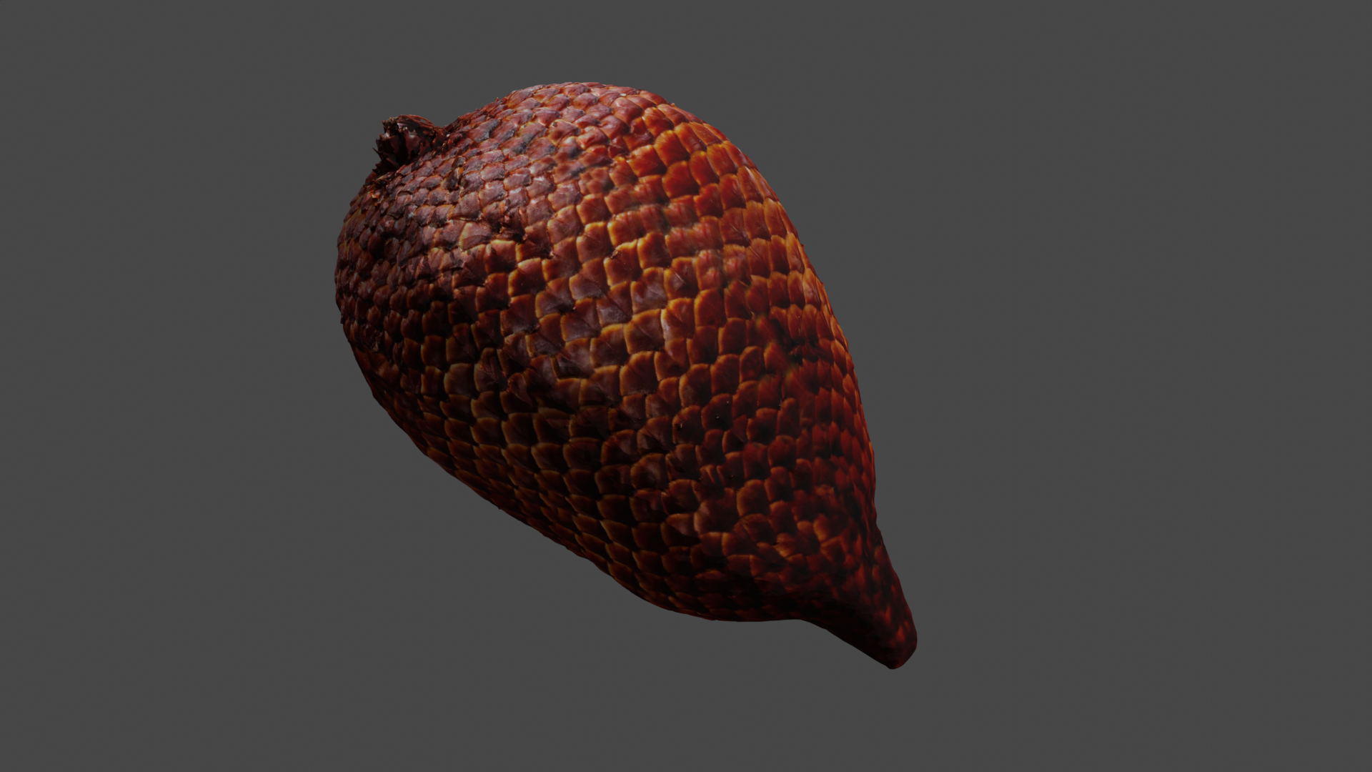 3D Salak Model - TurboSquid 2121777