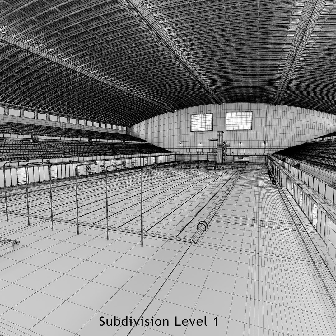 3d Olympic Sport Swimming Pool