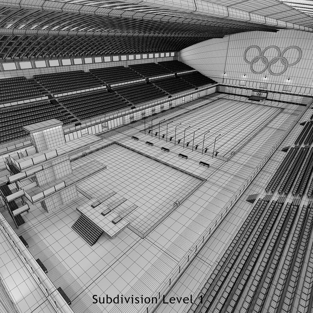 3d Olympic Sport Swimming Pool