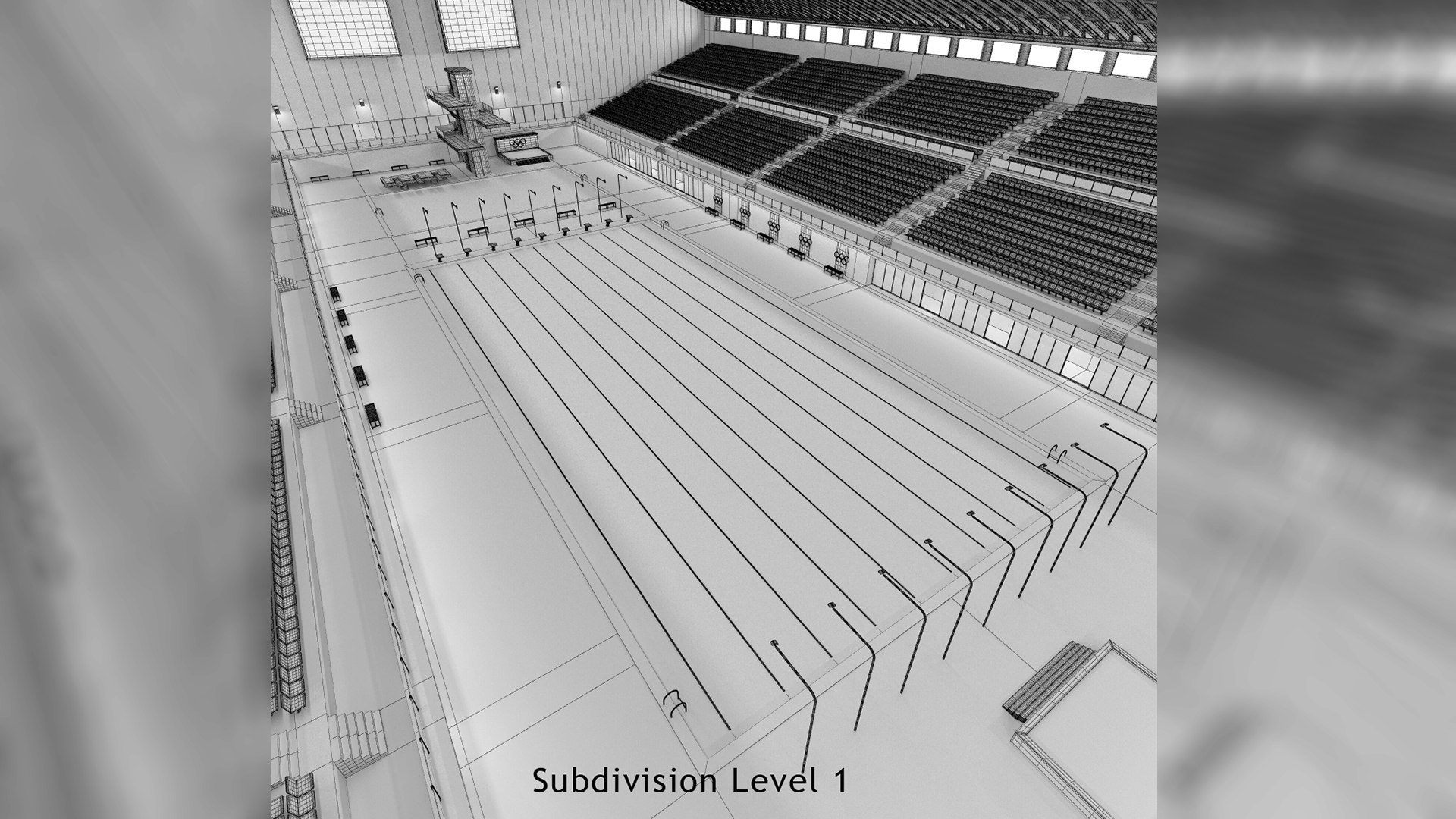 3d Olympic Sport Swimming Pool