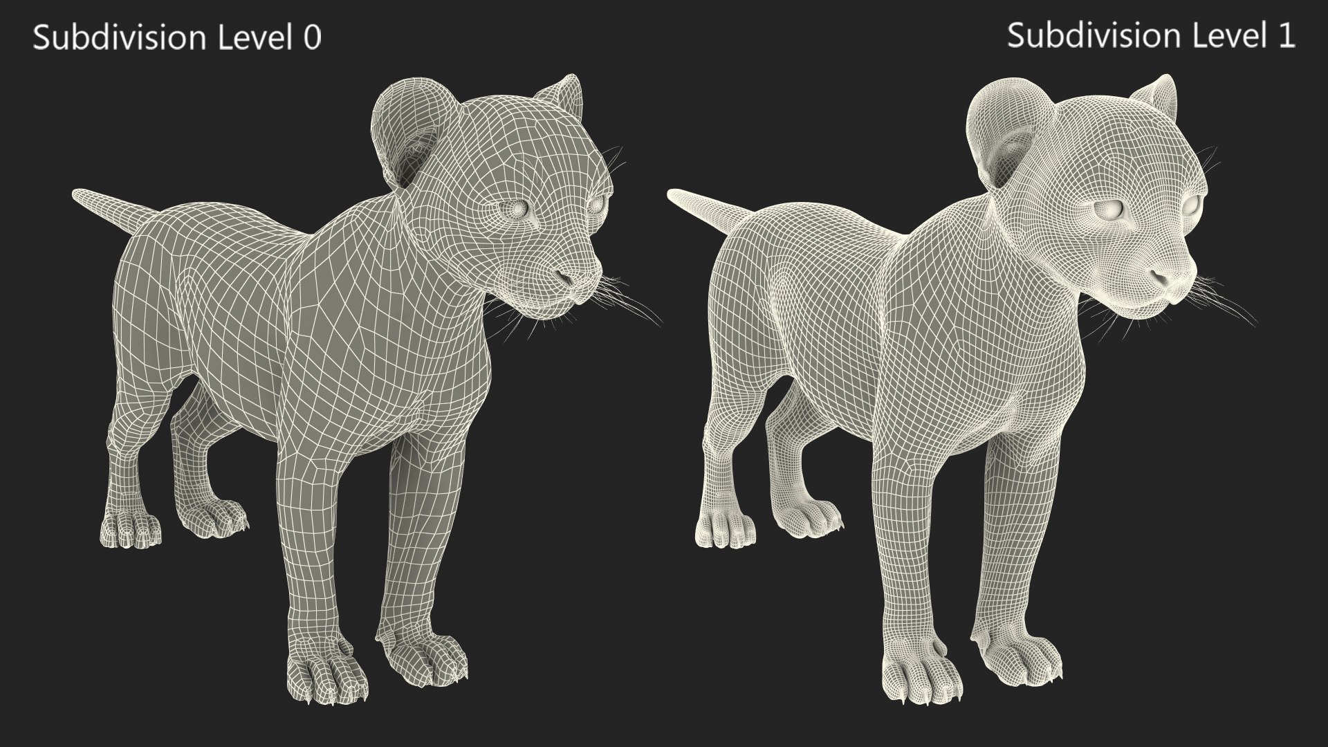 Cheetah Cub Rigged For Maya 3D Model - TurboSquid 2381270