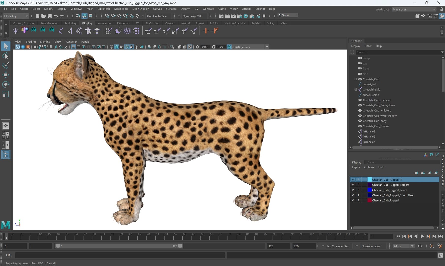 Cheetah Cub Rigged For Maya 3D Model - TurboSquid 2381270