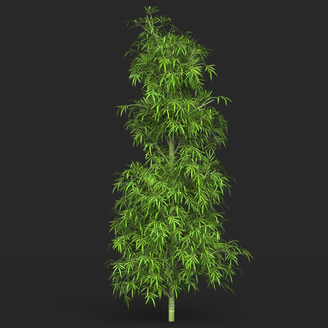 Realistic Game Ready Bamboo Tree 093D模型 - TurboSquid 1947263
