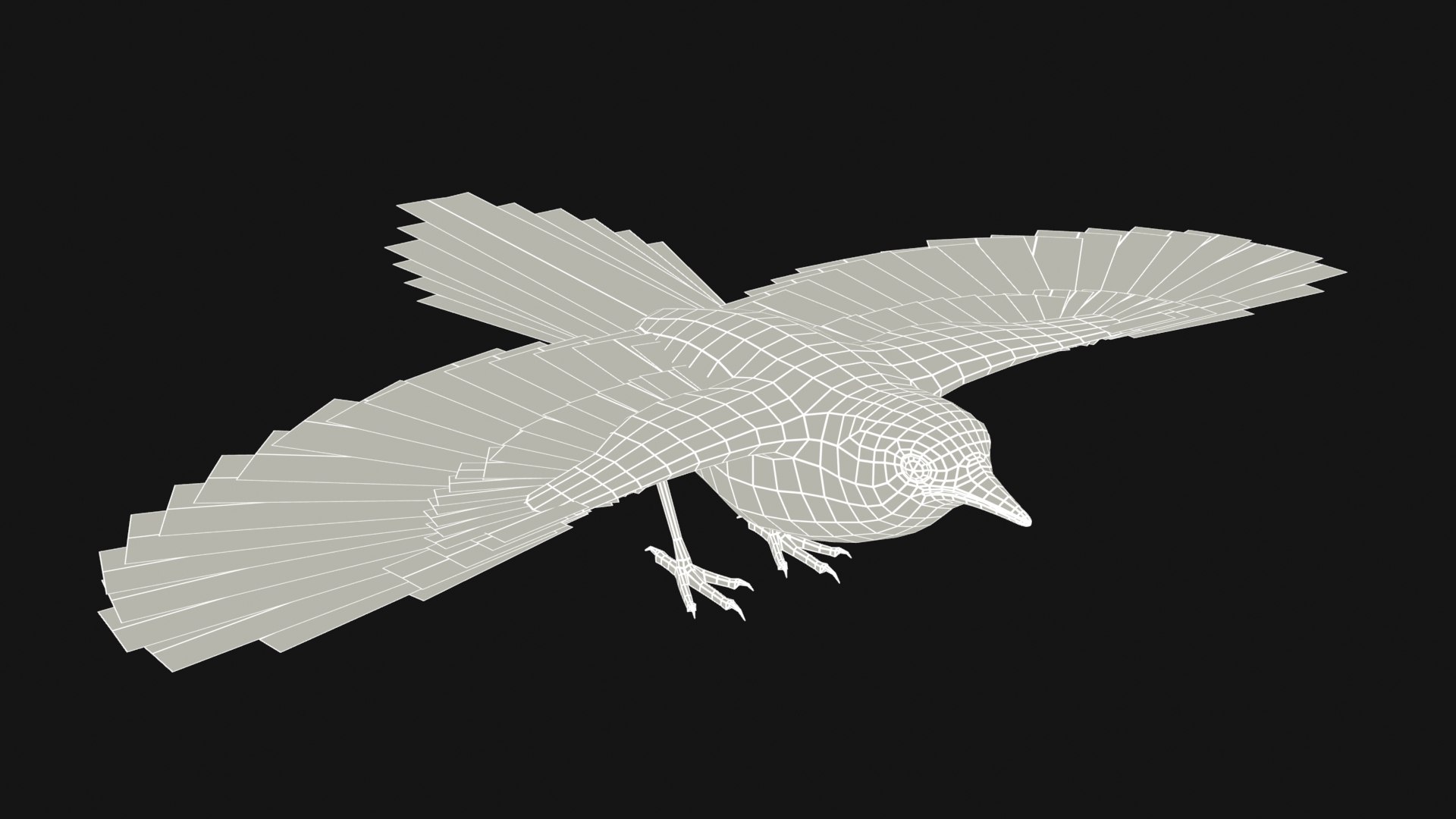 3D Magpie Model - TurboSquid 2017888