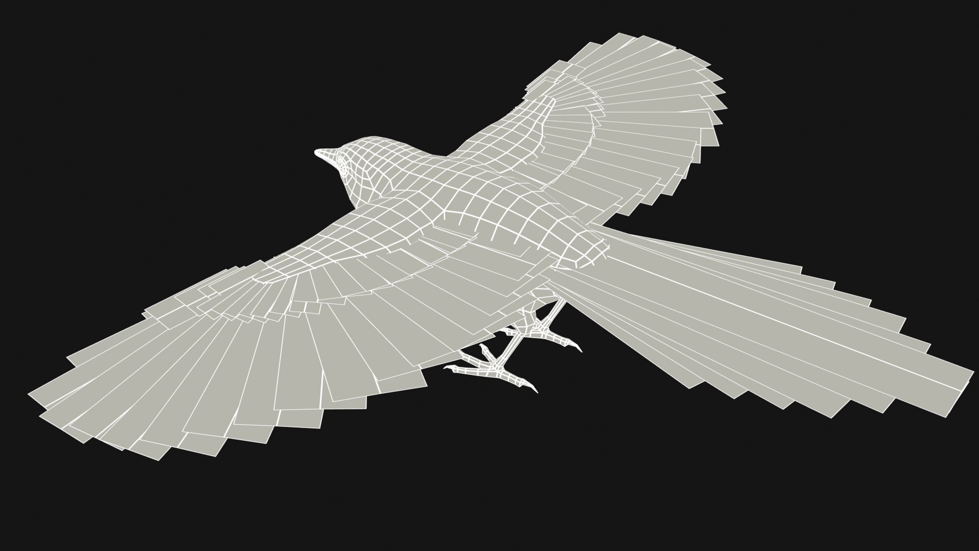 3D Magpie Model - TurboSquid 2017888