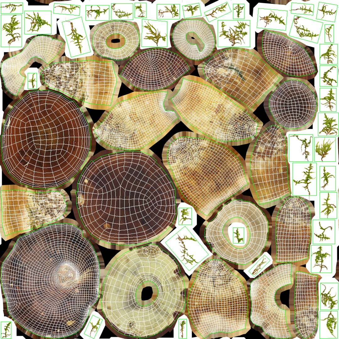 3D Mushrooms With The Forest Moss - TurboSquid 2383636