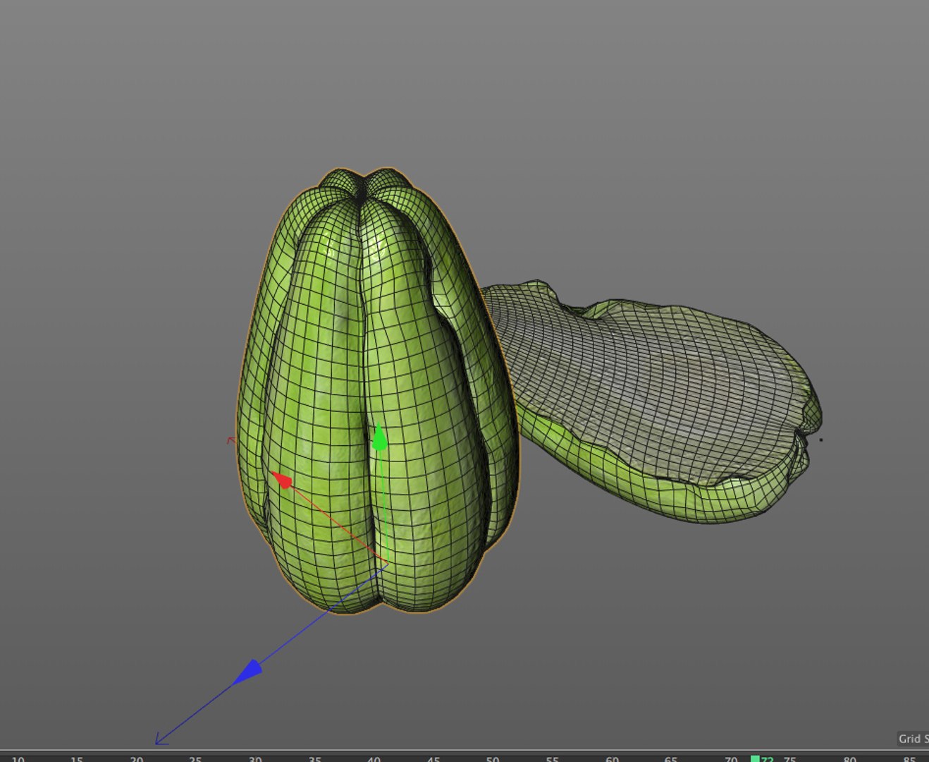 Squash 3D Model - TurboSquid 1544479