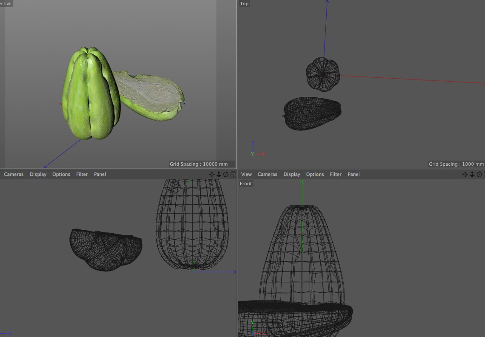 Squash 3D Model - TurboSquid 1544479