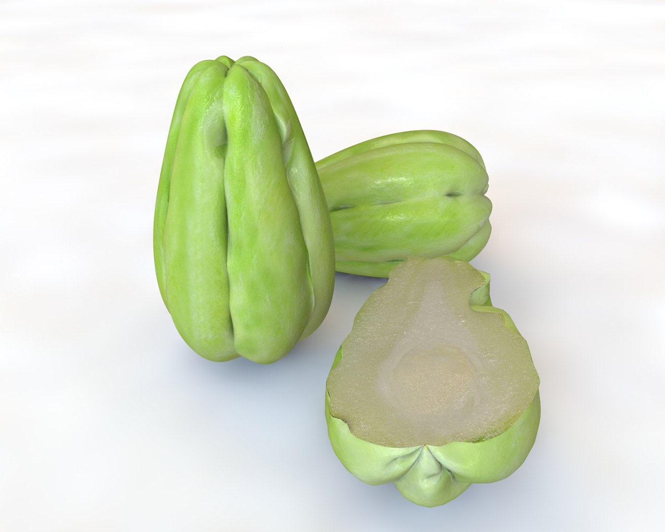 Squash 3D Model - TurboSquid 1544479