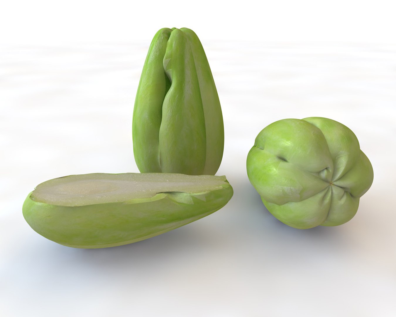 Squash 3D Model - TurboSquid 1544479