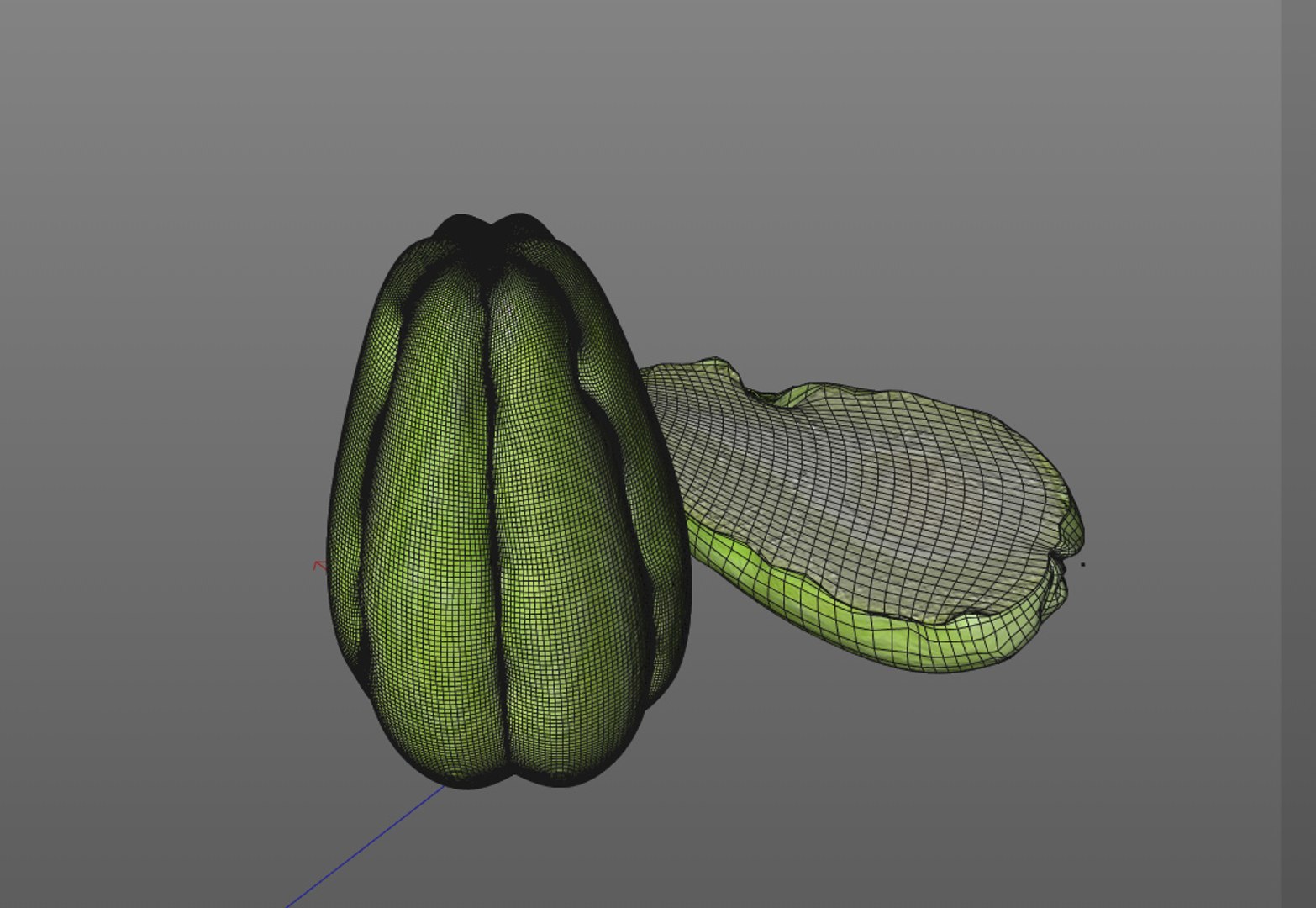 Squash 3D Model - TurboSquid 1544479