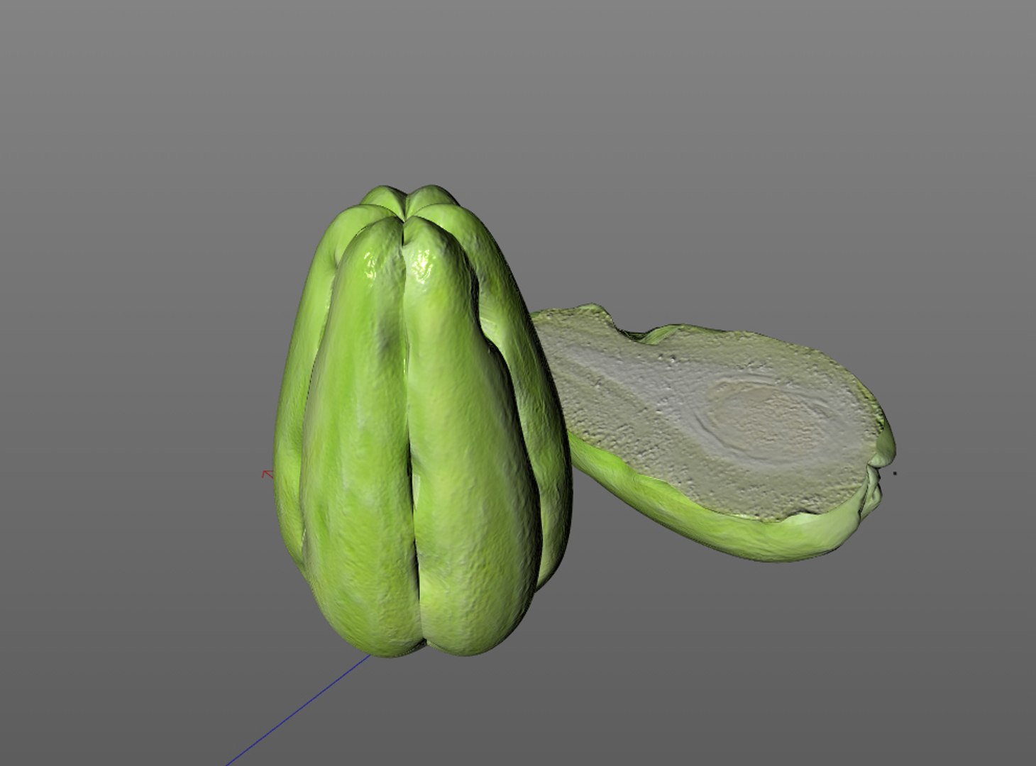 Squash 3D Model - TurboSquid 1544479