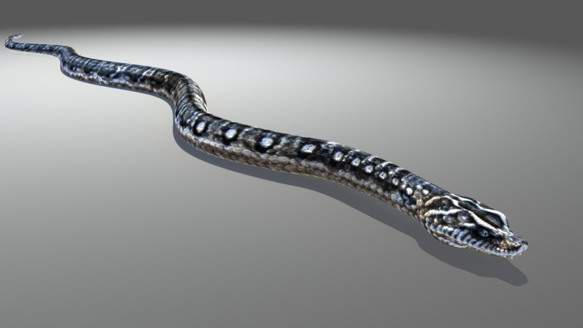 snake reptile 3d model