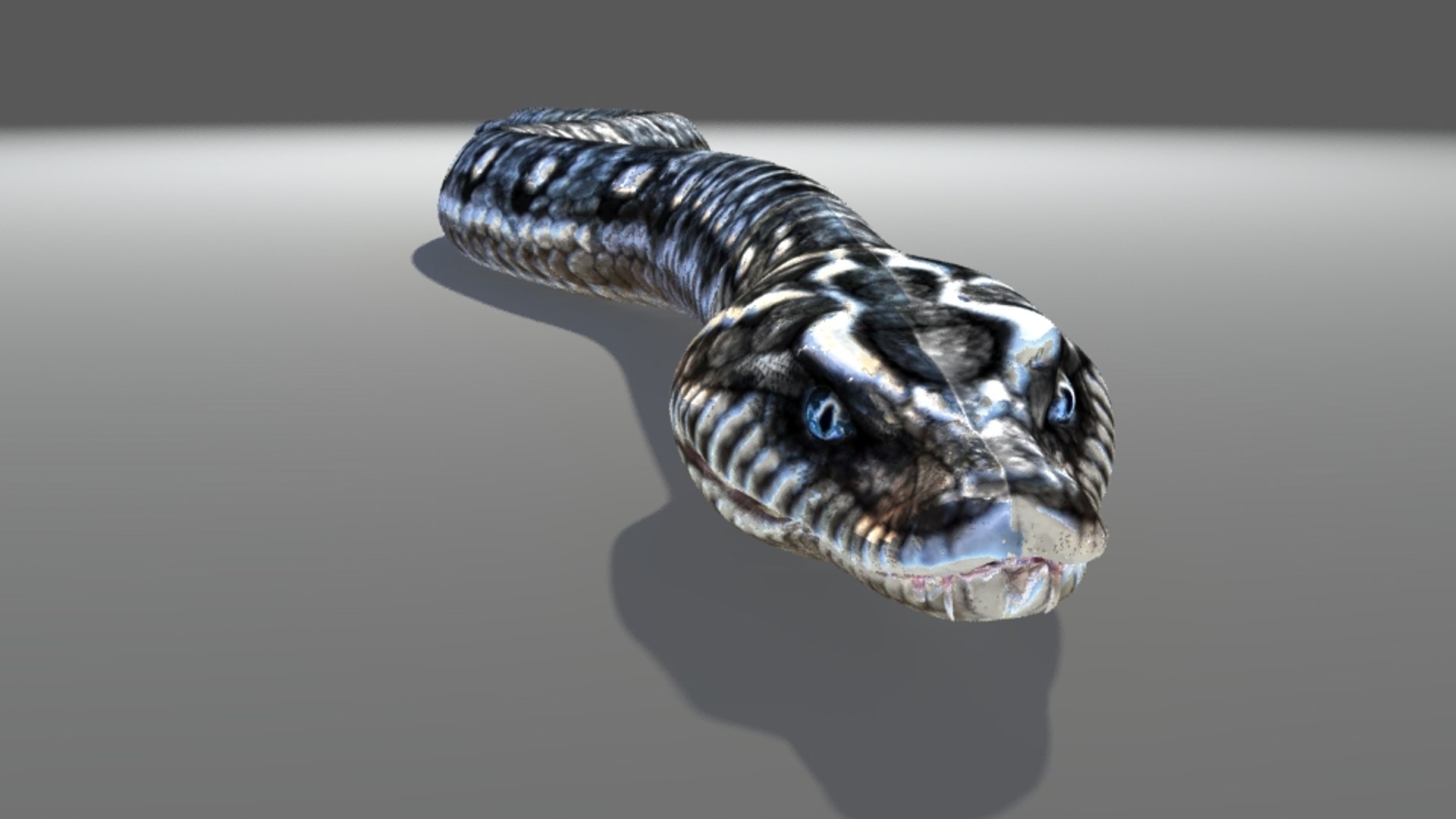 snake reptile 3d model