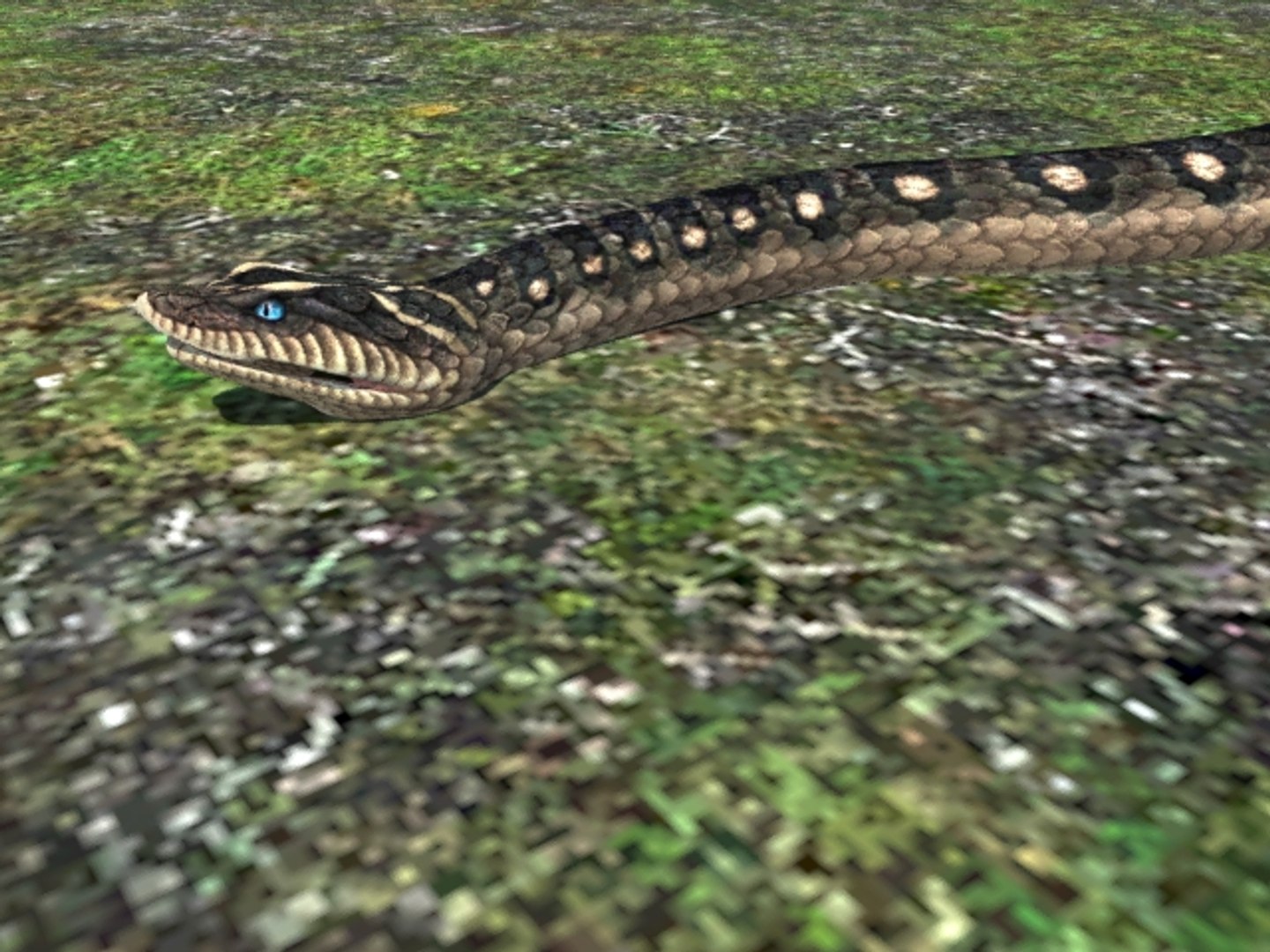 snake reptile 3d model