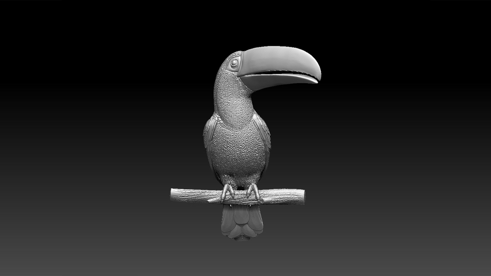 3D TUCAN Model - TurboSquid 1901471