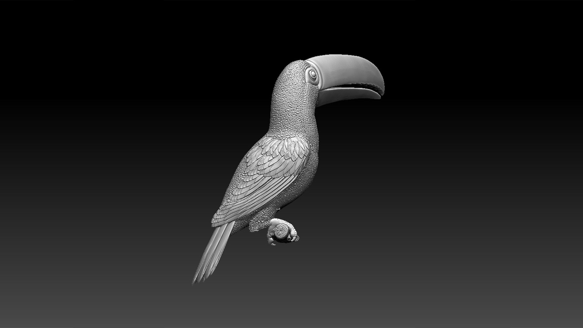 3D TUCAN Model - TurboSquid 1901471
