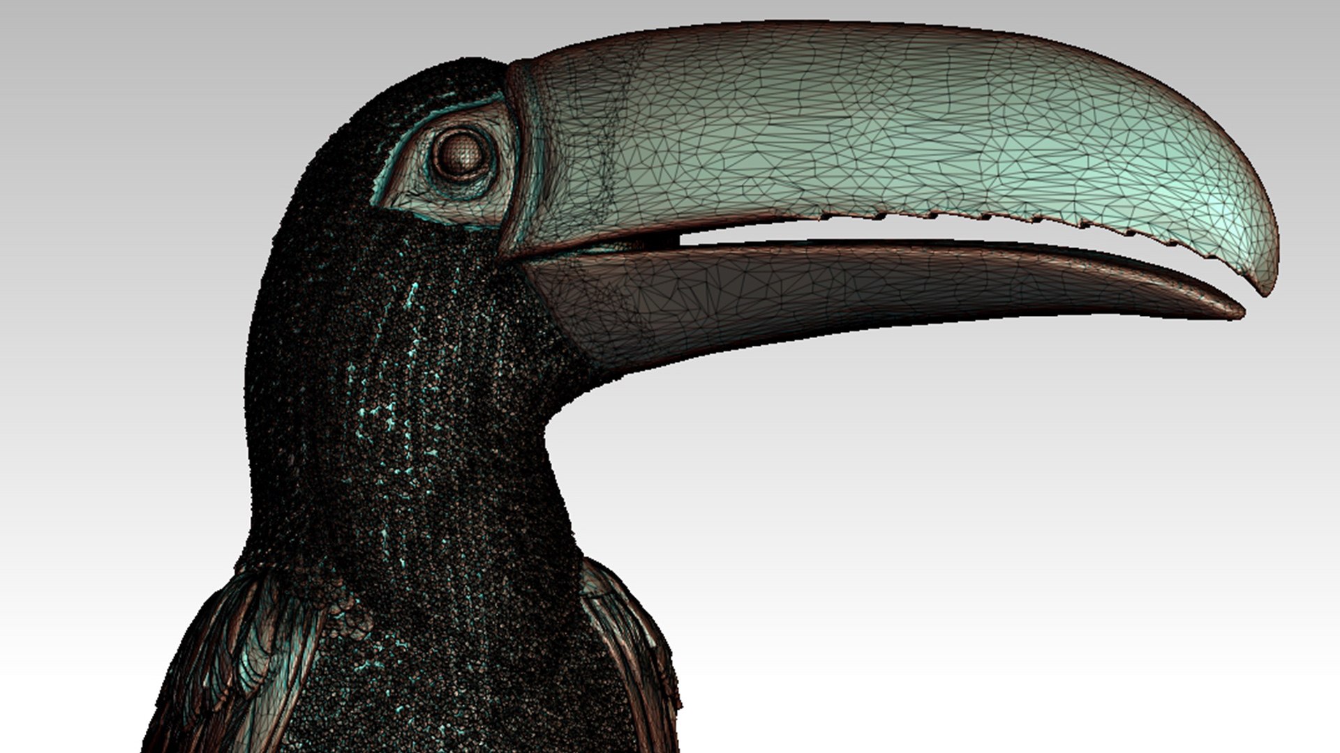 3D TUCAN Model - TurboSquid 1901471