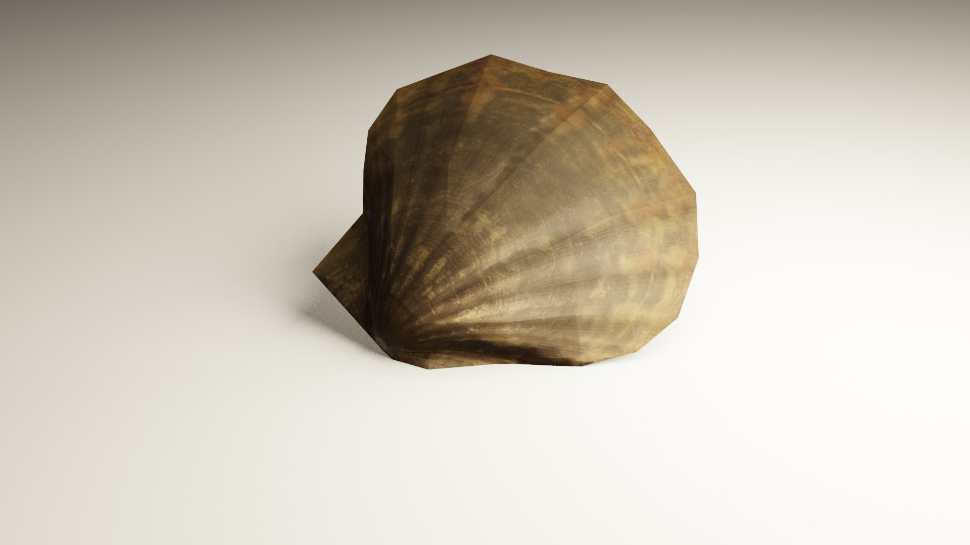 3D-Scanned Seashells - Set of 12 3D model - TurboSquid 1795646
