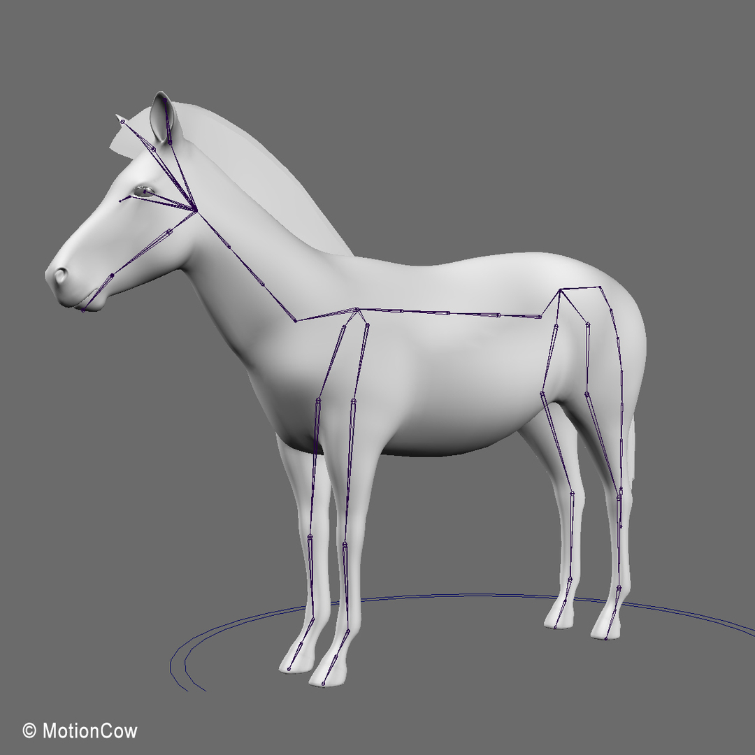 3d model rigged animation
