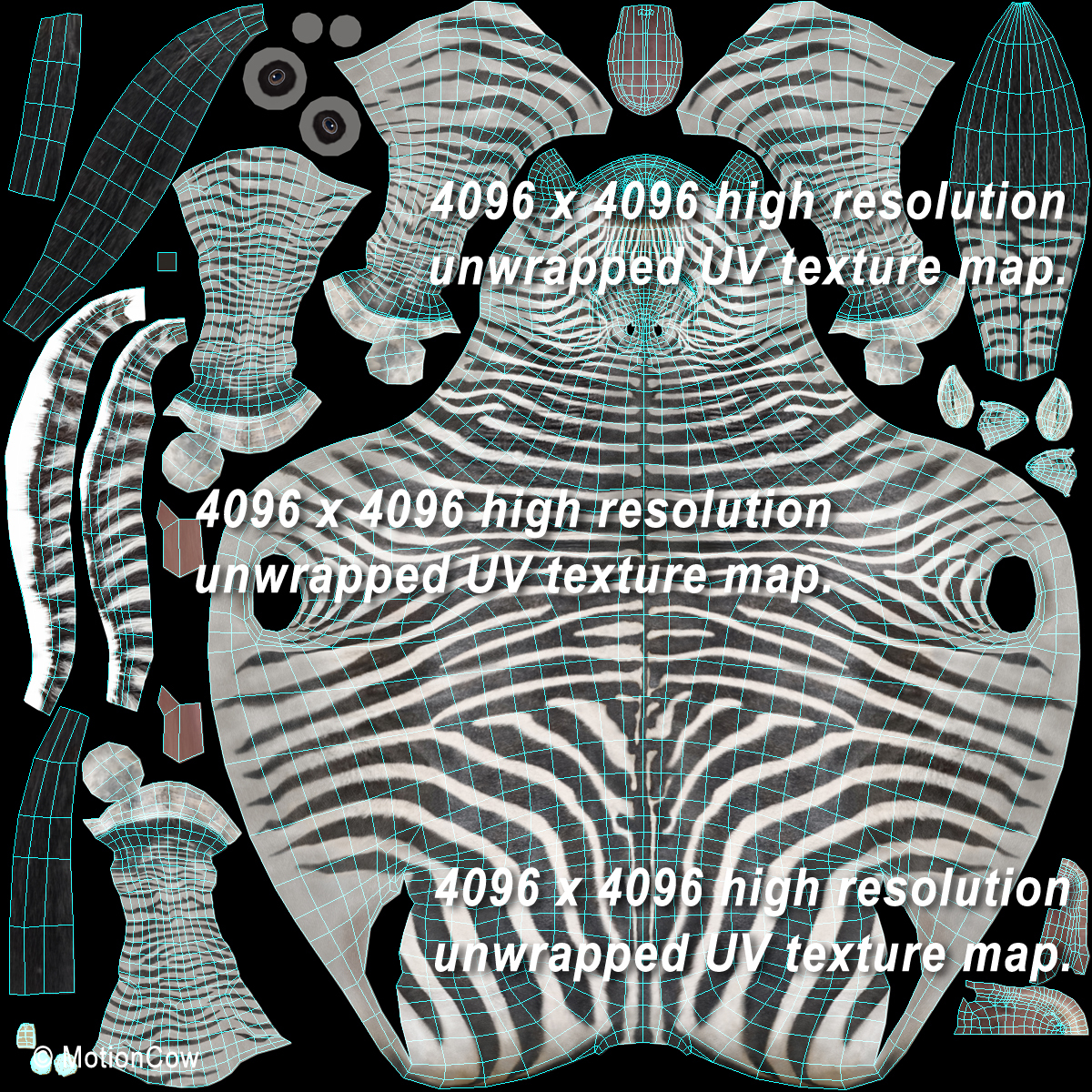 3d model rigged animation