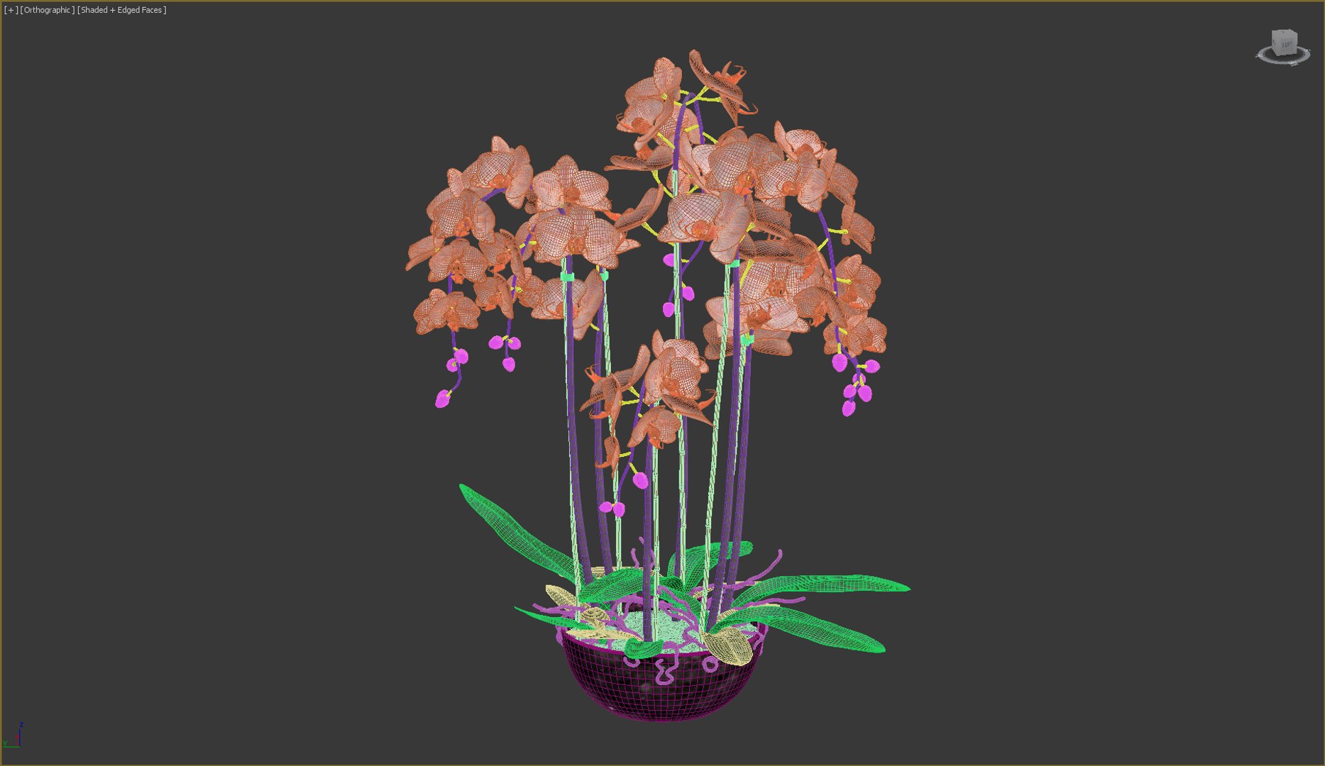 3D Orchid Flowering Model - TurboSquid 1476640