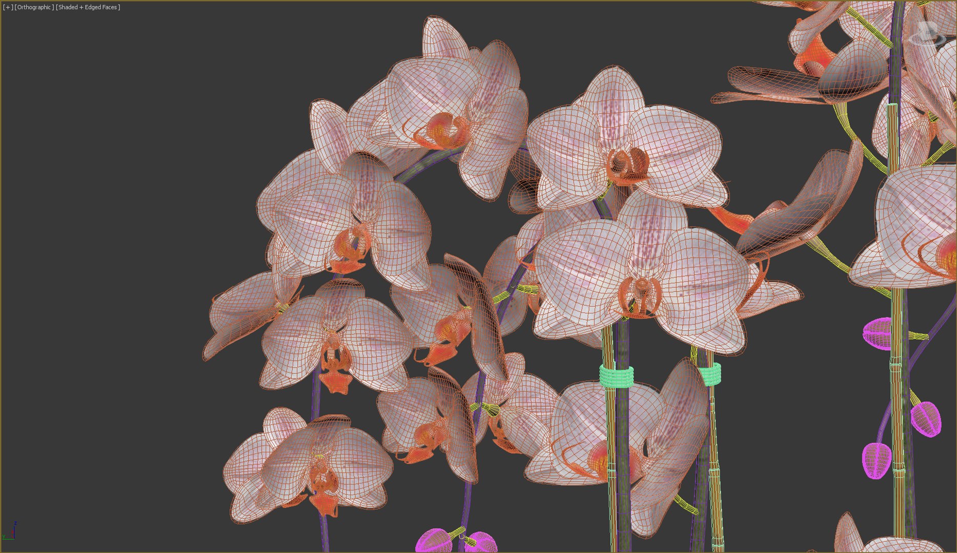 3D Orchid Flowering Model - TurboSquid 1476640