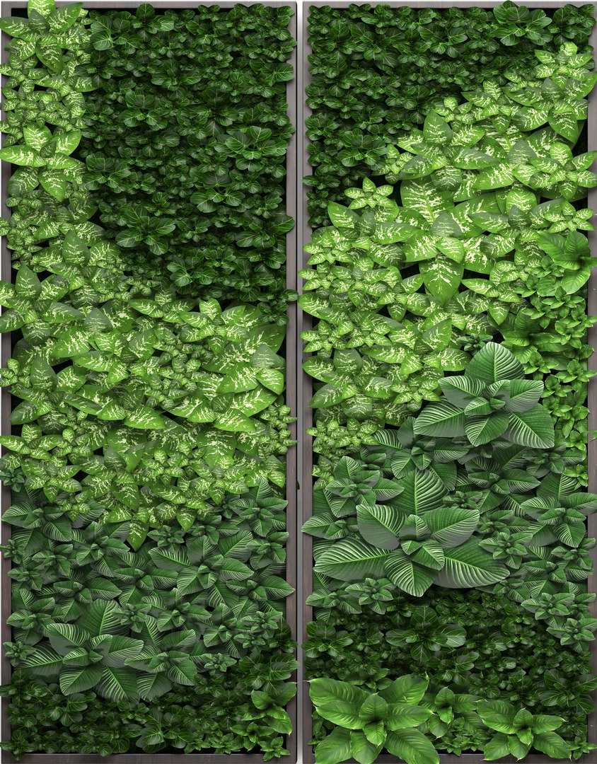 3D Vertical Gardening Model - TurboSquid 1335742