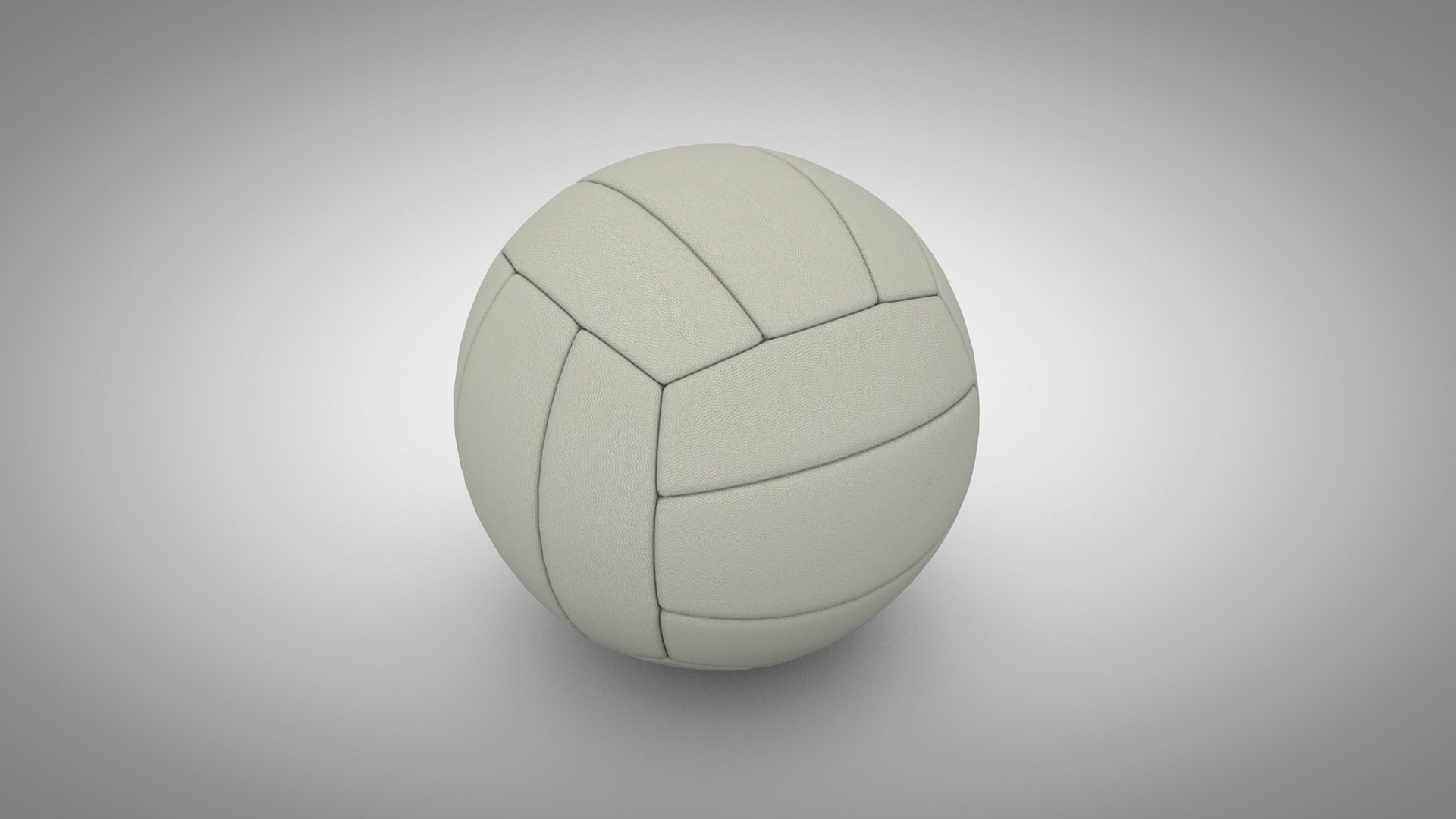maya volley volleyball ball